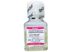 OriCell®青霉素-链霉素-两性霉素B溶液（100X）